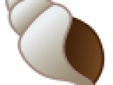 Github Ash Shell Ash A Modular Bash Framework
