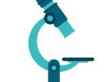 Data Entry Services Githubdata