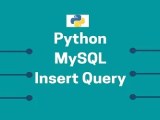 Python Mysql Insert Query Important Concept