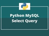 Python Mysql Select Query Important Concept