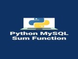 Python Mysql Sum Function Important