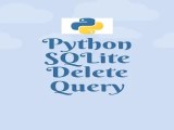 Python Sqlite Delete Query Important