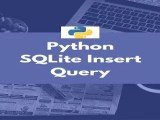 Python Sqlite Insert Query Important Concept