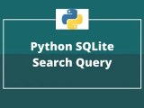 Python Sqlite Search Query Important