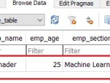 Python Sqlite Insert Query Important Concept