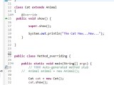 Java Method Overriding Important Concept