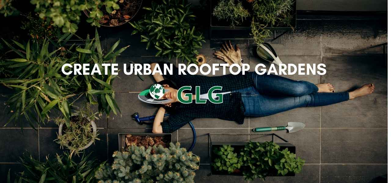 How To Create Urban Rooftop Gardens? [Effective Ideas] - GLG Assets Ltd