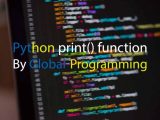 Understanding The Print Function In Python A Comprehensive Guide