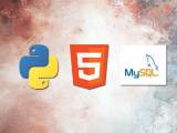 Python Programming With Mysql Database From Scratch Global Courses