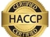 Global Infinity Certification