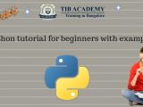 Python Tutorial For Beginners With Examples Tib Academy
