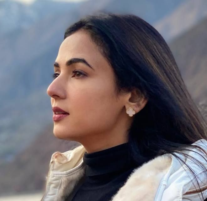 Sonal Chauhan Biography/Wiki, Age, Height, Career, Photos & More