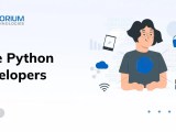 Hire Python Developers Top Python Programmers For Hire рџђќ