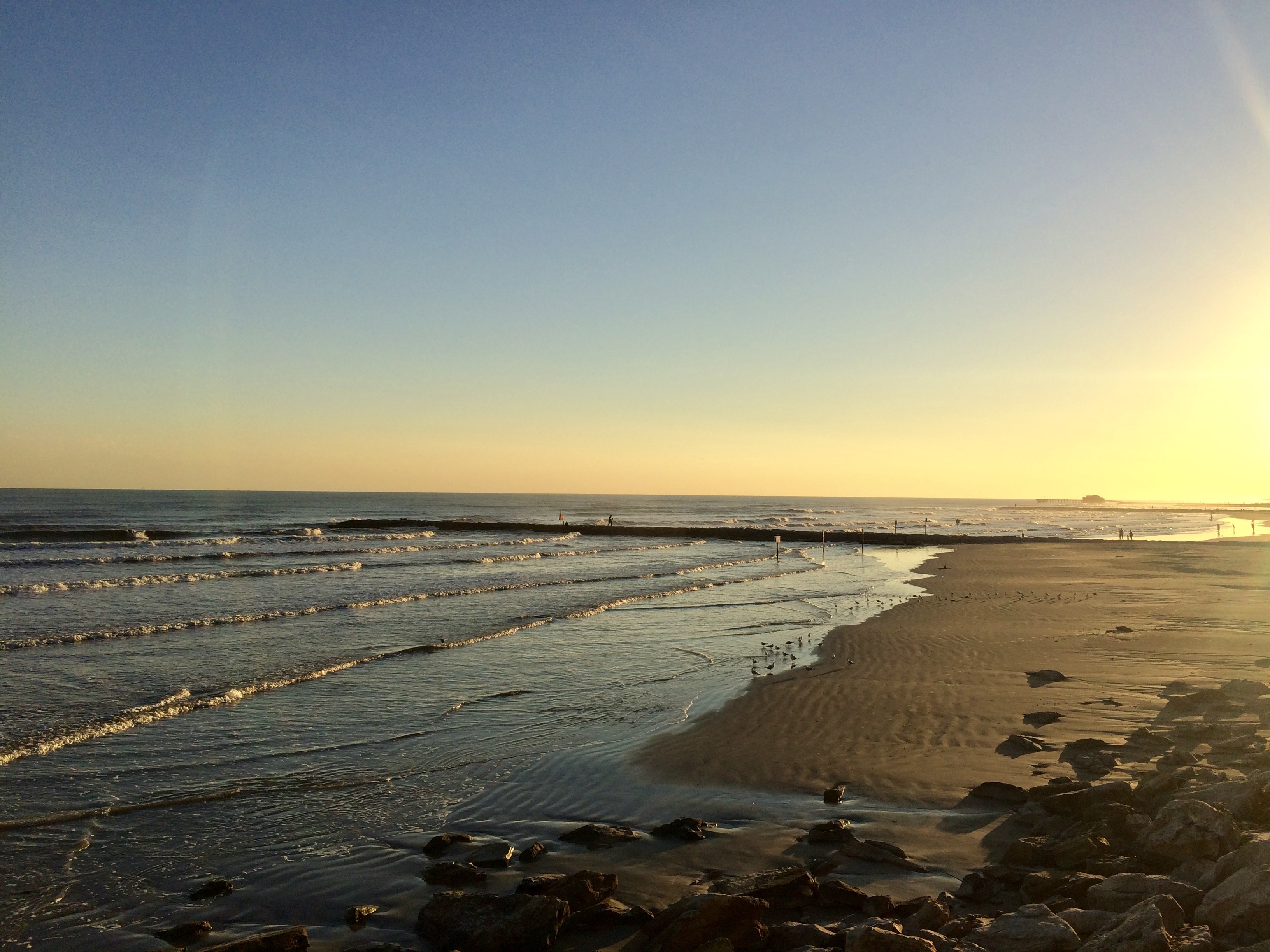 Haiku for Galveston in Autumn - Glover Gardens