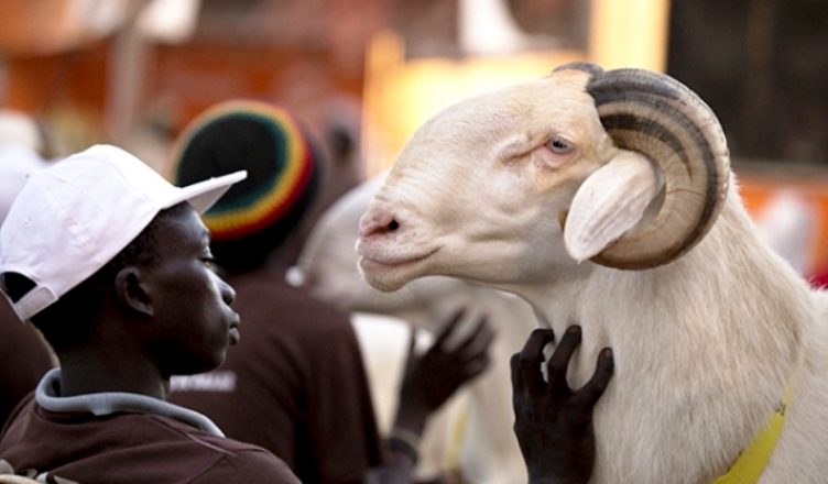 Tabaski : voici la date à laquelle la fête sera célébrée - Gnadoe