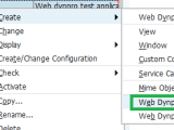 Setup Of Sap Web Dynpro Application Go Coding