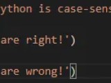 Python Indentation Go Coding