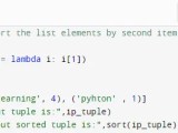 Program To Sort The List Elements By Second Item Using Python Go Coding