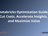 Databricks Optimization Guide Collectiv