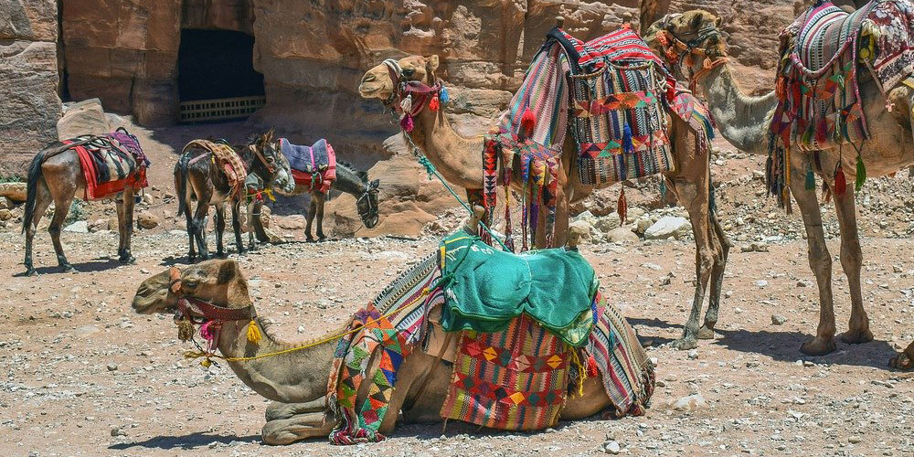 The Truth about How Jacob Was Enriched • God Quest