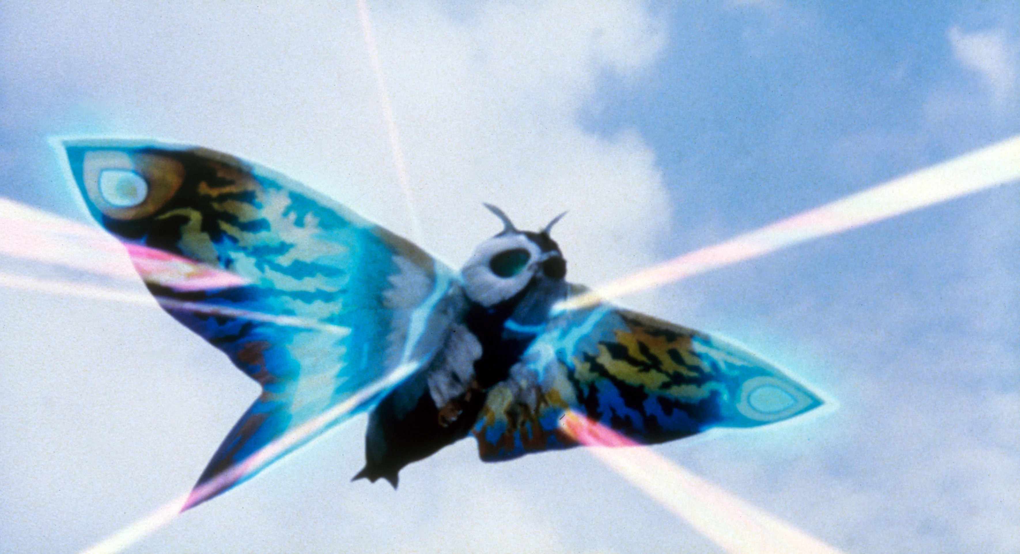 Mothra Divine Kaiju Ally Of Earth Godzilla Monsterpedia