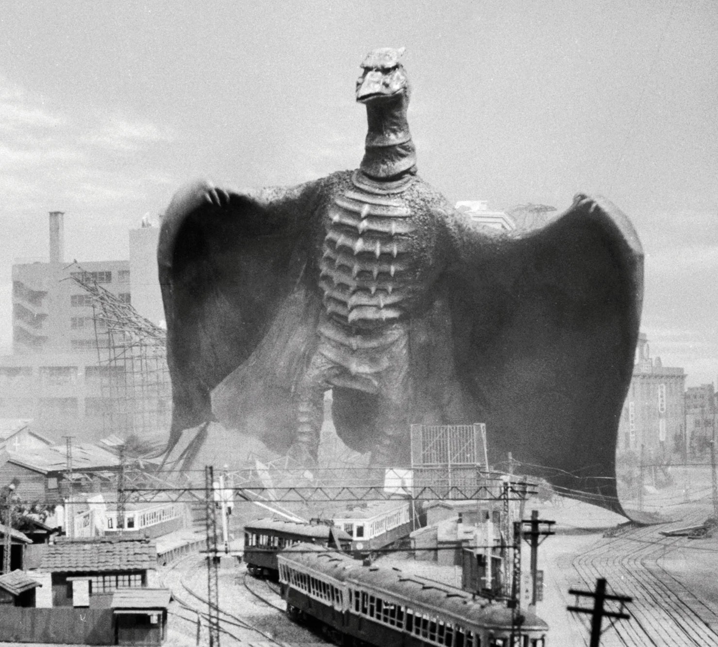 Rodan The Flying Kaiju Godzilla Monsterpedia