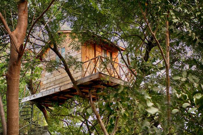 4. Tree house in Gujarat, India - Going To Tehran