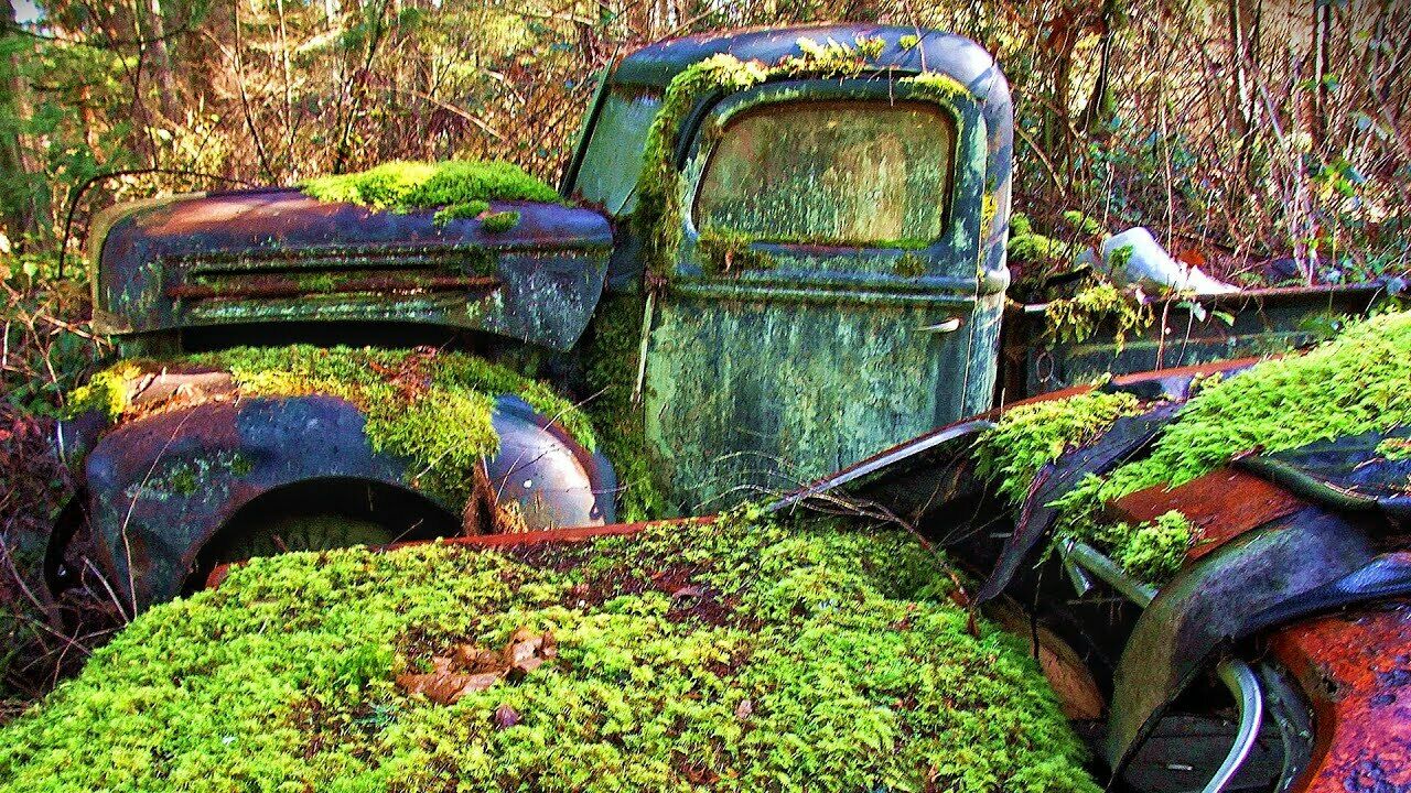 Rust In Peace Cars