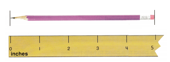 Texas Go Math Grade 2 Lesson 16.2 Answer Key Measure with an Inch Ruler ...