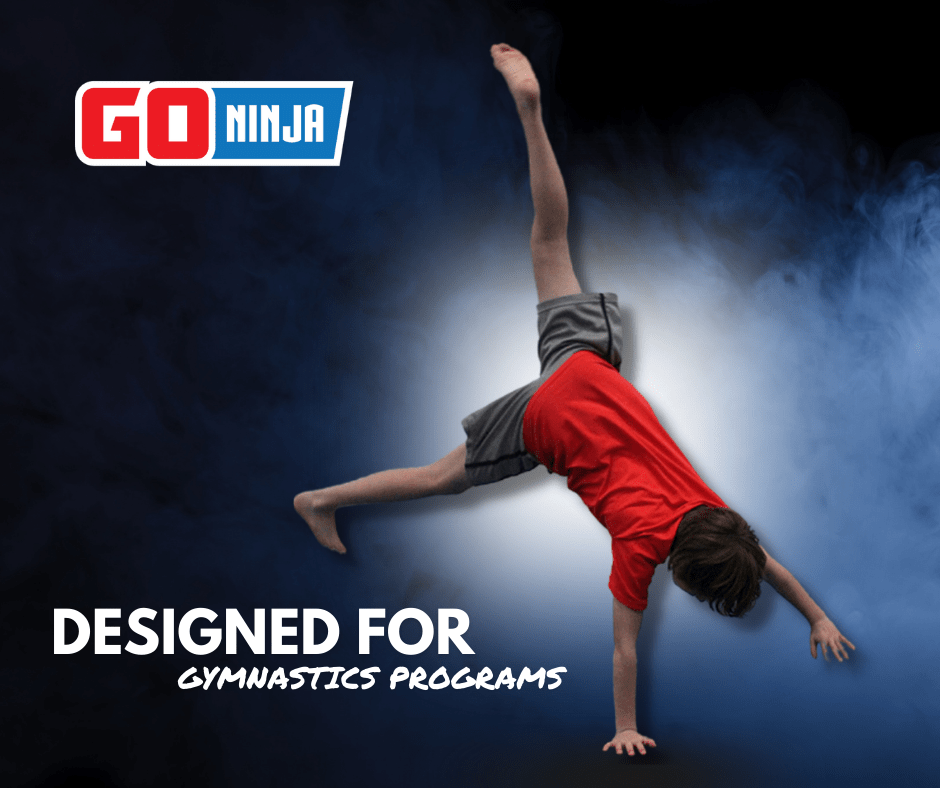 Home - Go Ninja Program