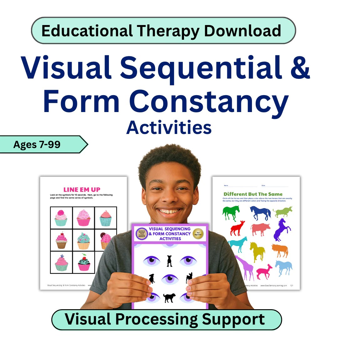 Visual Processing Series Sequencing Form Constancy Workbook Good