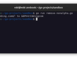 Remove All Non Alphanumeric Characters Gopher Coding