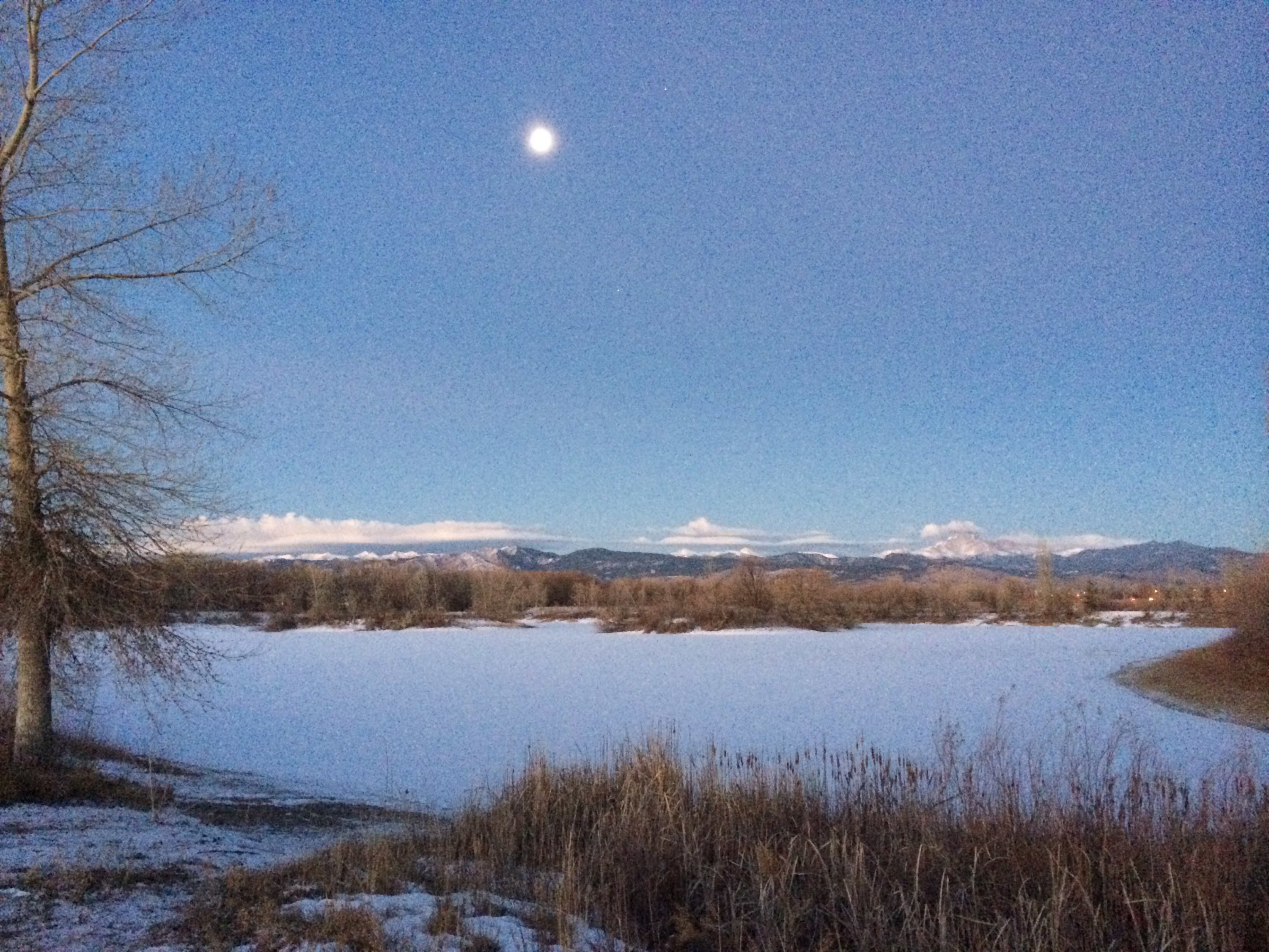 Running In Golden Ponds Park : Got2Run4MeRunning With Perseverance