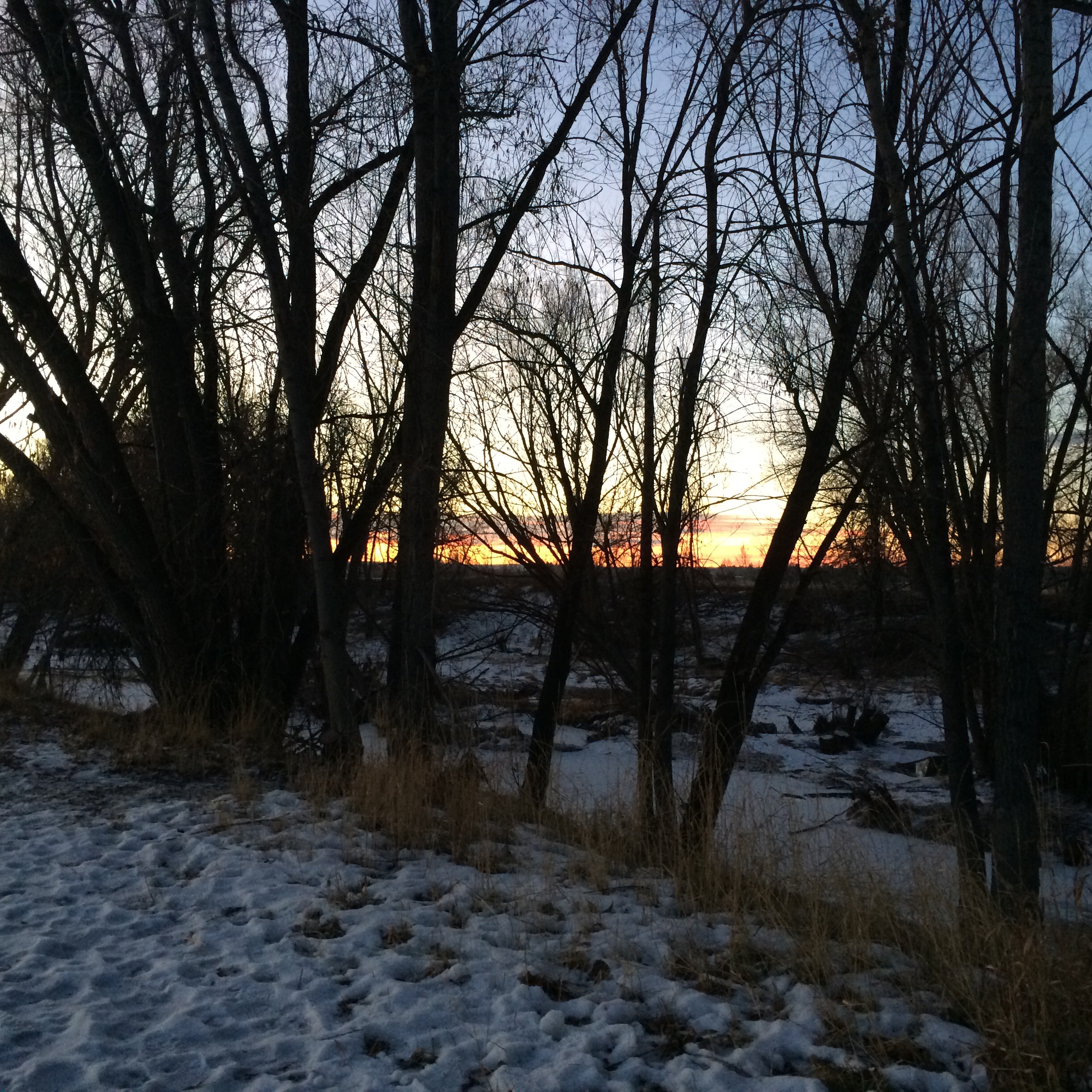 Running In Golden Ponds Park : Got2Run4MeRunning With Perseverance