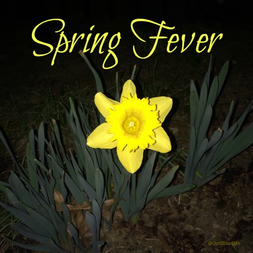 Recovering With Spring Fever : Got2Run4MeRunning With Perseverance