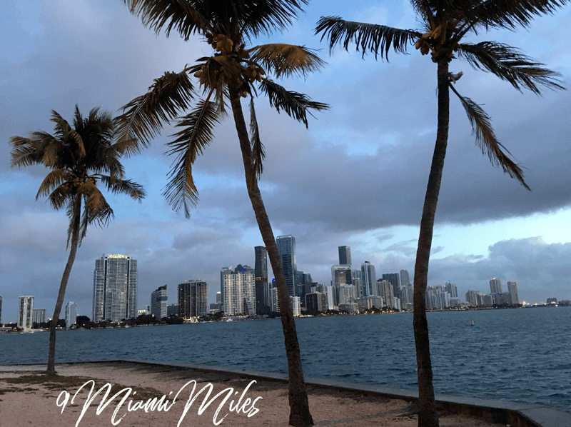 Running In Brickell Miami : Got2Run4MeRunning With Perseverance