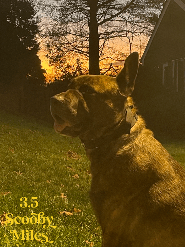 Lighting a Fire To Finish February Strong : Got2Run4MeRunning With ...