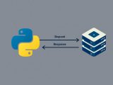 How To Use An Api In Python Got Api All About Apis