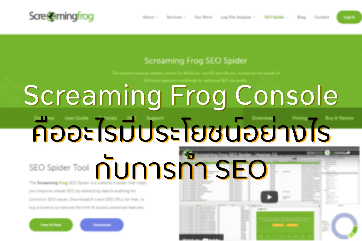 Screaming Frog Console - คืออะไรมีประโยชน์อย่างไรกับการทำ SEO - Terrestrial