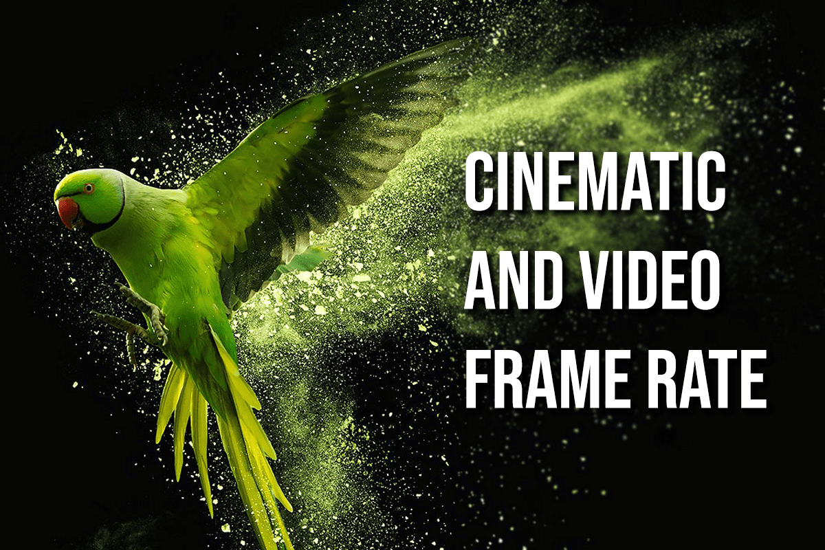 Cinematic and Video Frame Rate - Terrestrial