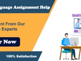 Programming Assignment Help By Programming Experts