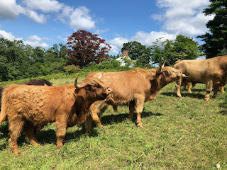 Gov. Dale Farm – North Hampton's Family Farm