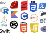 Top 21 Programming Languages In The World And Where To Learn Them