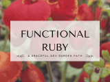 Functional Ruby Graceful Dev