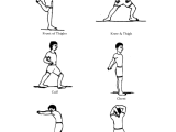 Pe 7 Module 2 Basic Exercise Program Grade 7 Modules