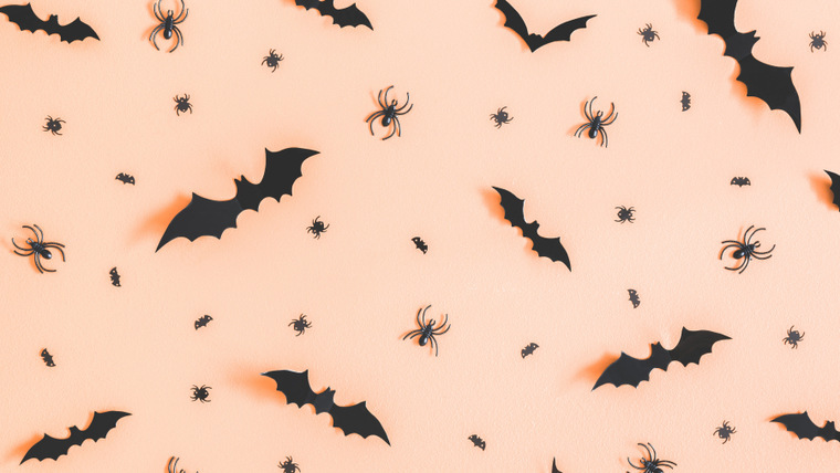 Customize Thanksgiving Twitter Header Templates | PosterMyWall
