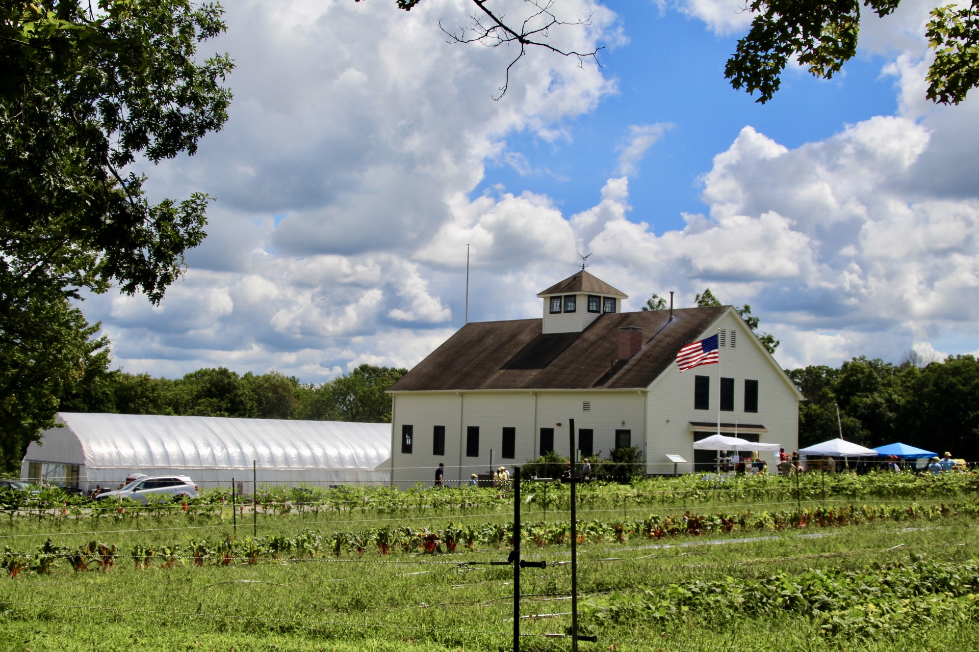 Volunteers sought as Community Harvest Project prepares for its 20th ...