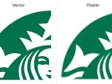 Vector Logo Vs Raster Logo