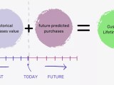 A Comprehensive Guide To Customer Lifetime Value Optimization Using