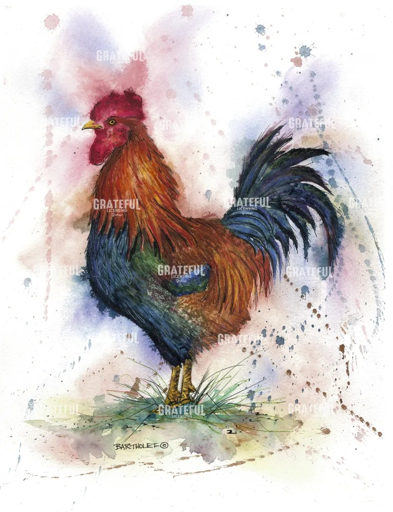 Barnyard Rooster Grateful Art Licensing